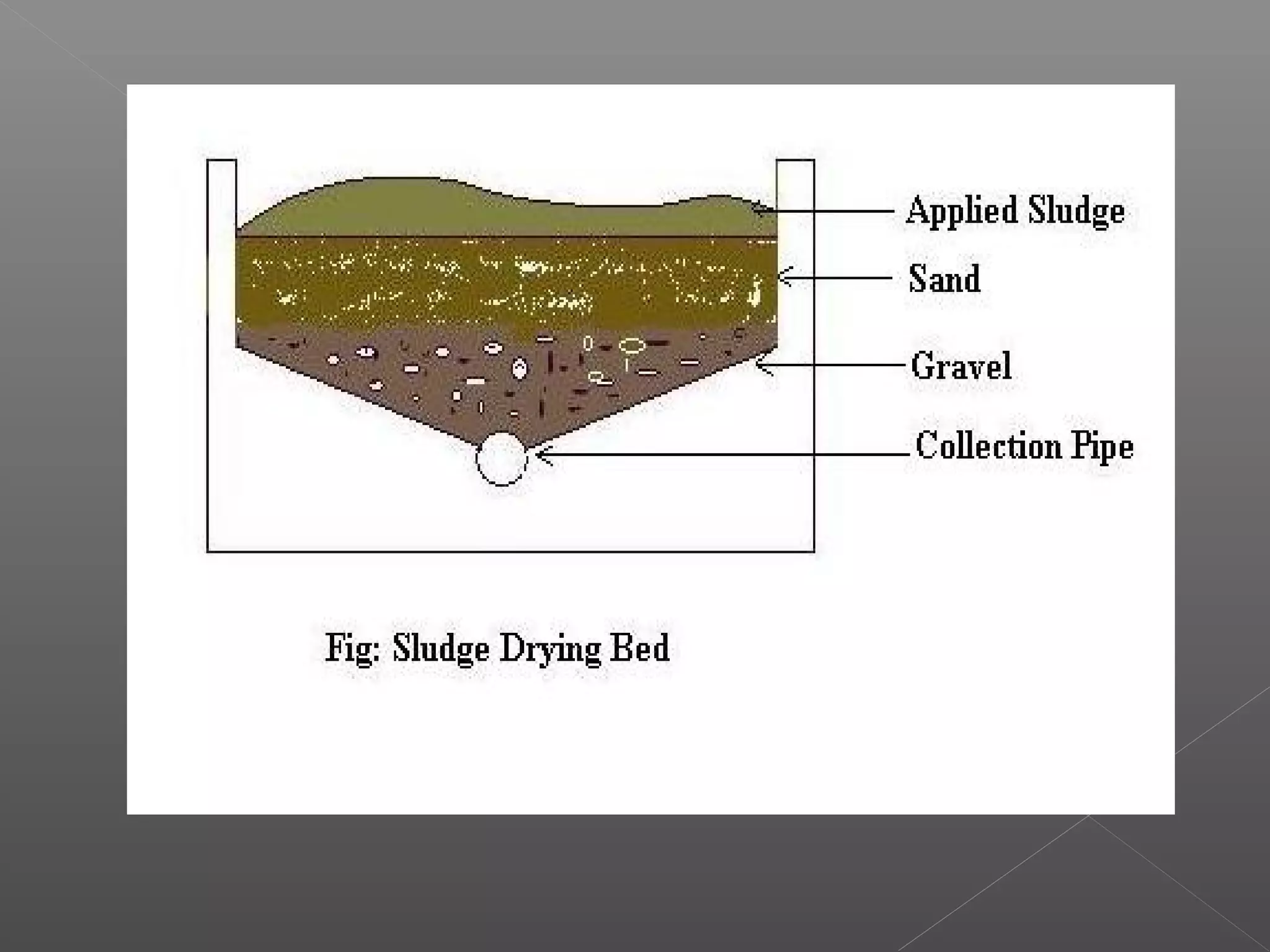 Treatment and disposal of sludge | PPT