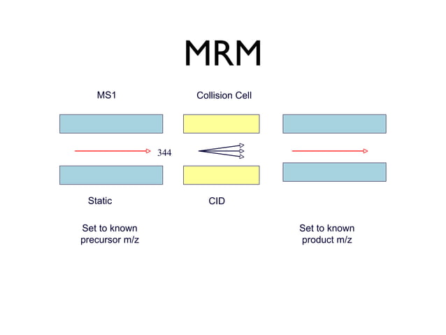 Tandem Mass Spectroscopy Basics | PPT | Chemistry | Science