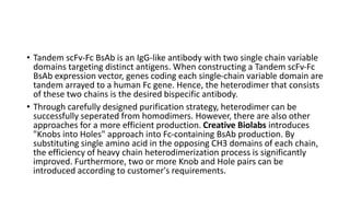 Tandem scfv production | PPT