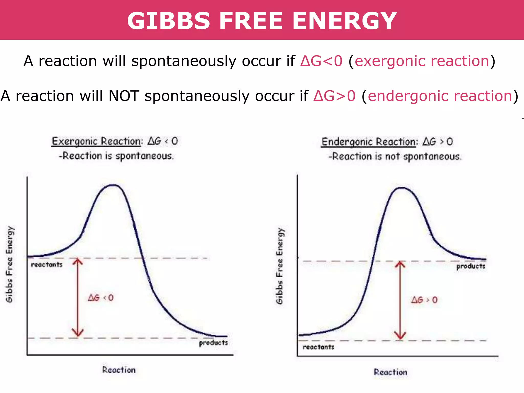Tang 01b enthalpy, entropy, and gibb's free energy | PPTX