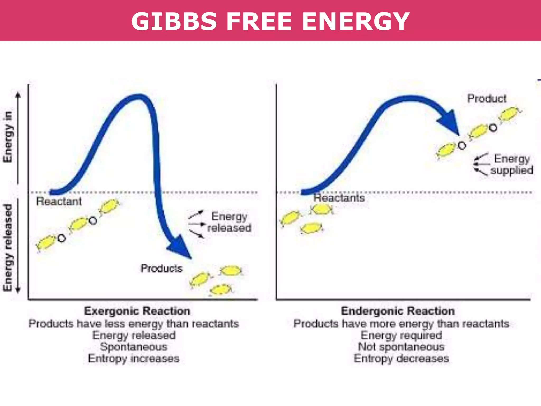 Tang 01b enthalpy, entropy, and gibb's free energy | PPTX