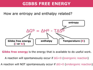 Tang 01b enthalpy, entropy, and gibb's free energy | PPTX