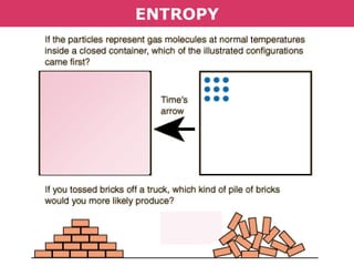 Tang 01b enthalpy, entropy, and gibb's free energy | PPTX