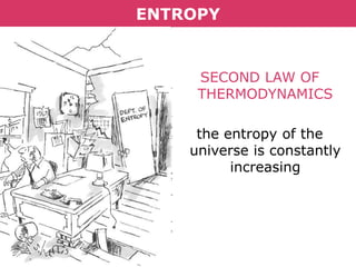Tang 01b enthalpy, entropy, and gibb's free energy | PPTX