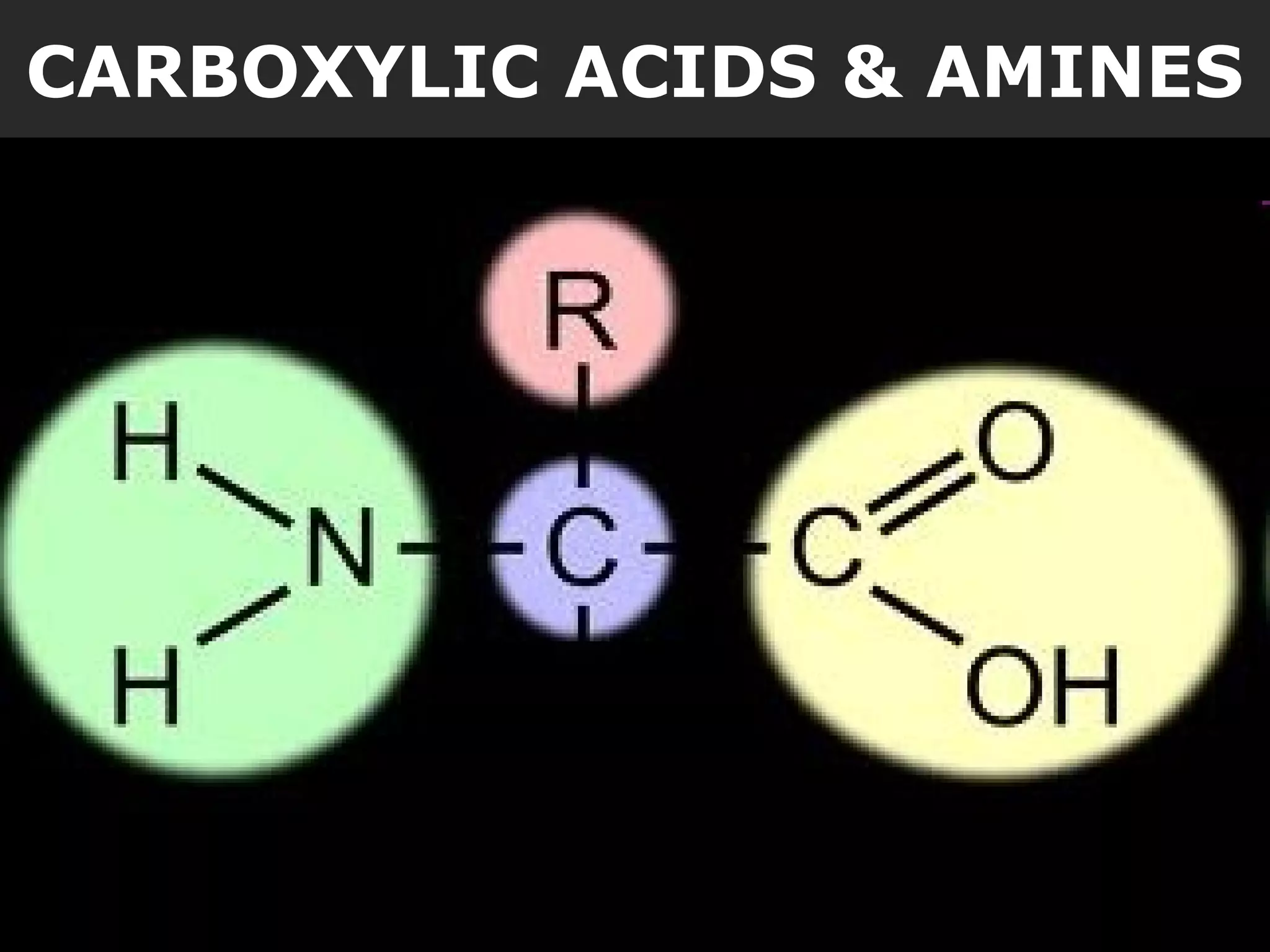 Tang 03 carboxylic acids & amines 2013 version | PPT