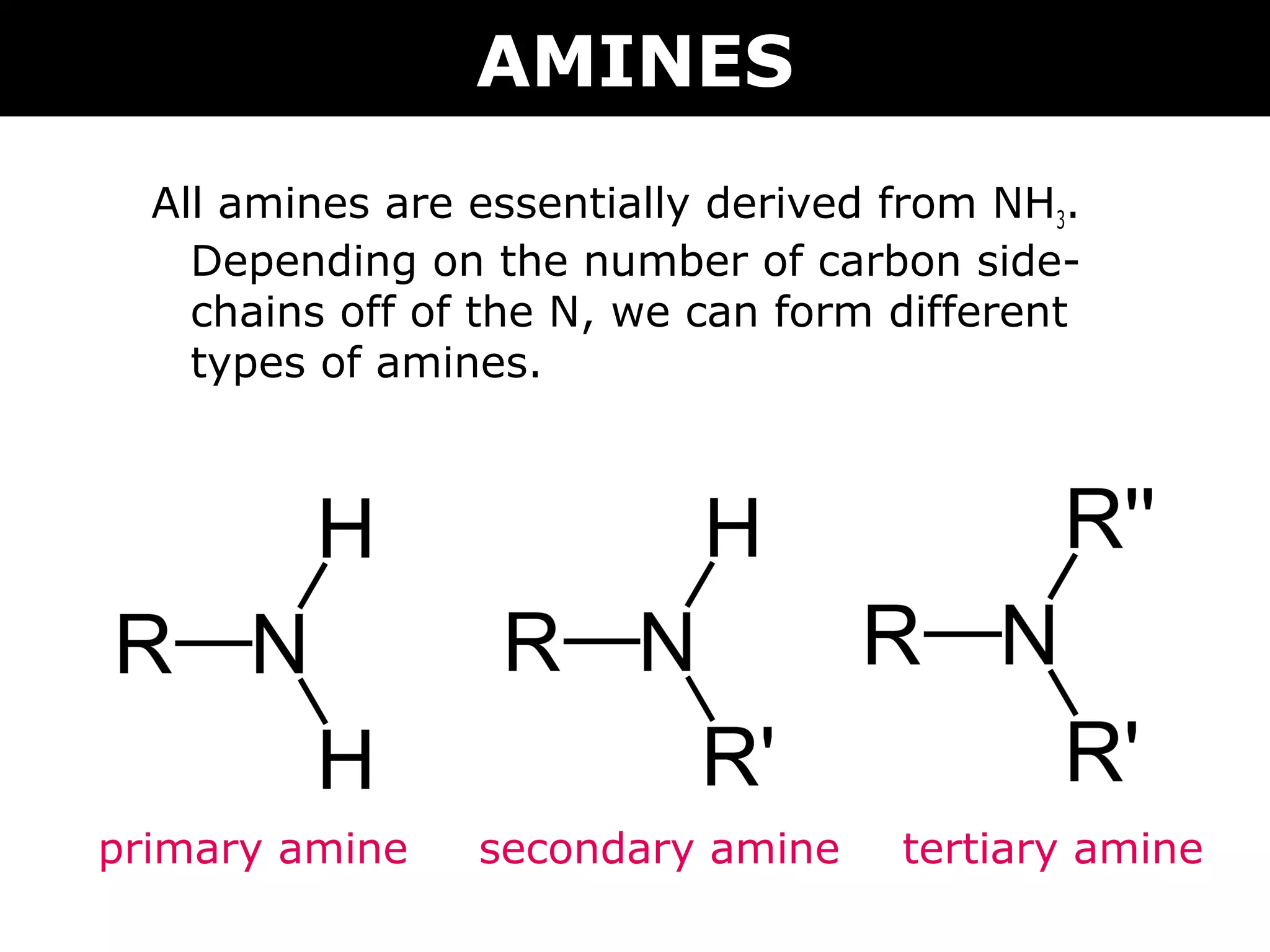 Tang 03 carboxylic acids & amines 2013 version | PPT