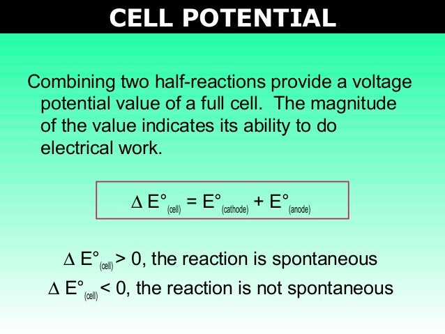 Tang 03 electrochemical cells 2