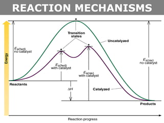Tang 04 rate mechanisms | PPT