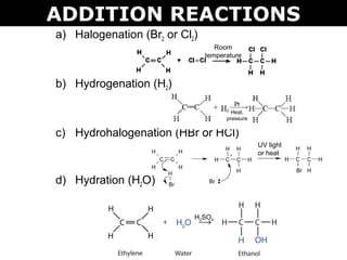 Tang 04 reactions - intro- addition 2 | PPT