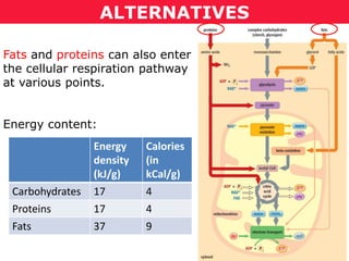 Tang 05 efficiency, regulation, and alternatives | PPTX
