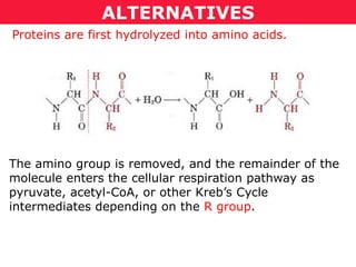 Tang 05 efficiency, regulation, and alternatives | PPTX