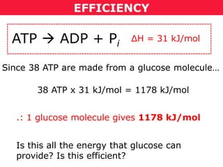 Tang 05 efficiency, regulation, and alternatives | PPT