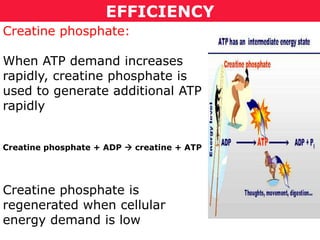 Tang 05 efficiency, regulation, and alternatives | PPT