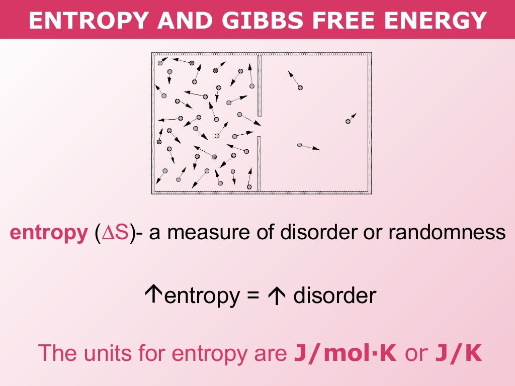 Tang 05 entropy and gibb's free energy