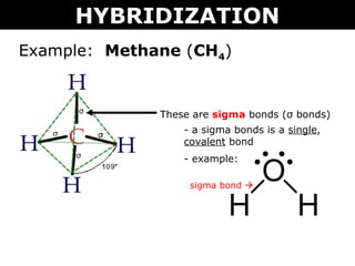 Tang 08 hybridization | PPT