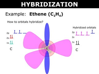 Tang 08 hybridization | PPT
