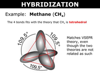 Tang 08 hybridization | PPT