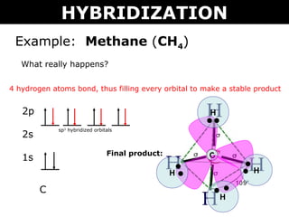 Tang 08 hybridization | PPT