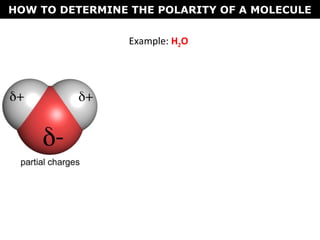 Tang 08 polarity | PPT