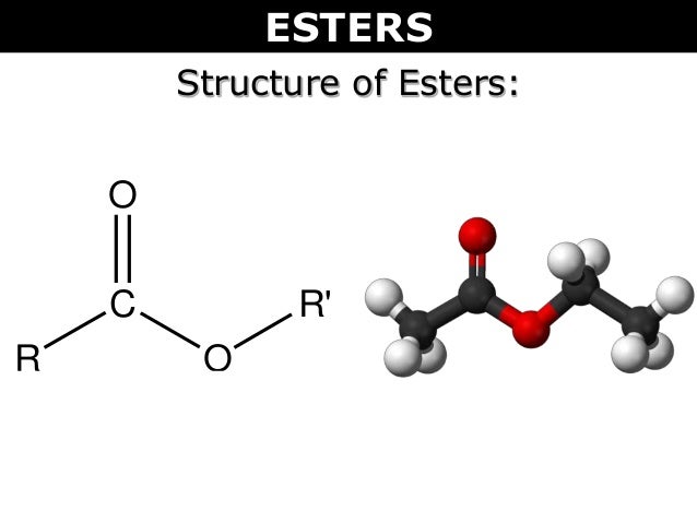 Ester.ee