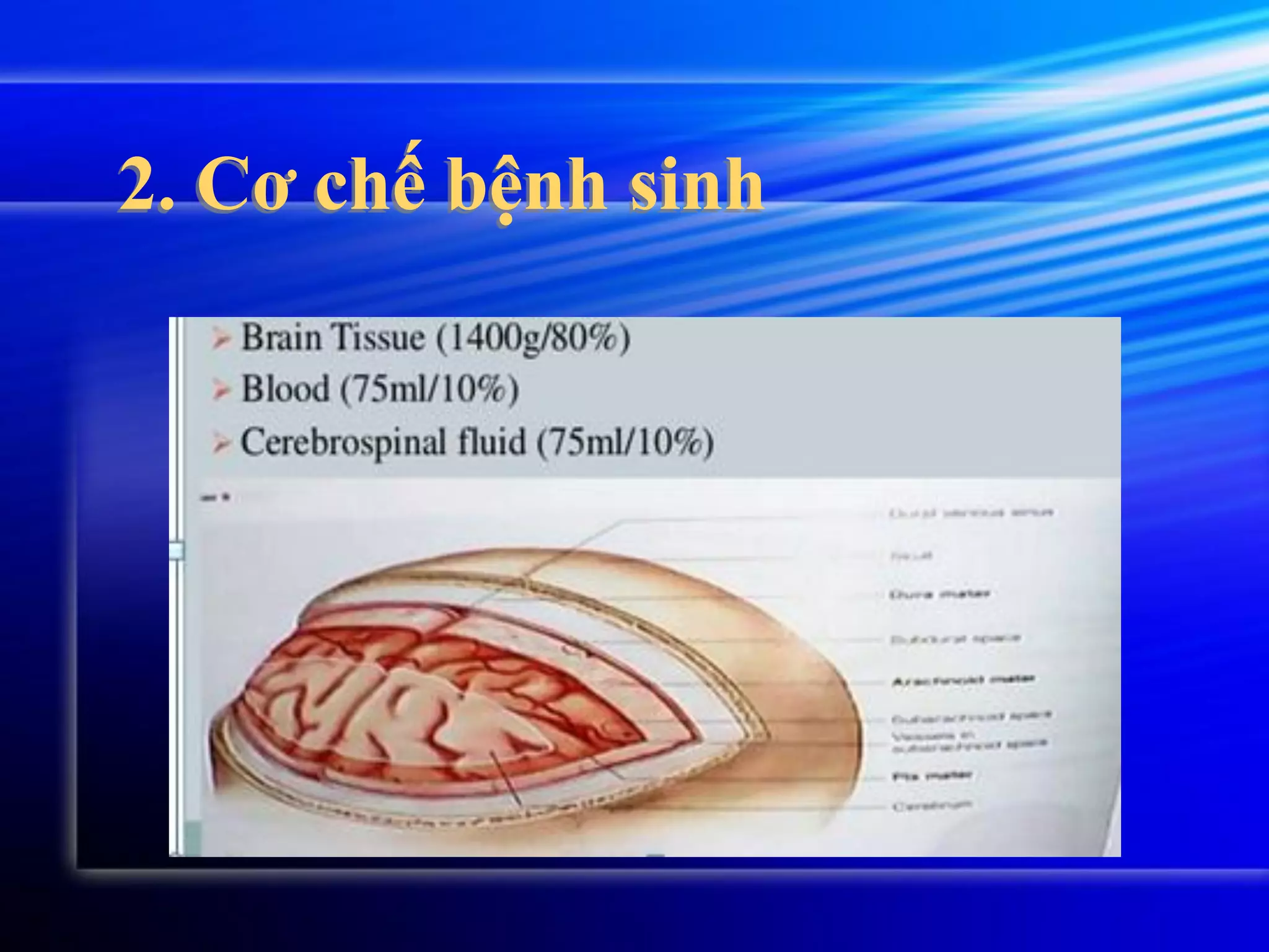 Tang ap luc noi so cao phi phong (2016) | PDF