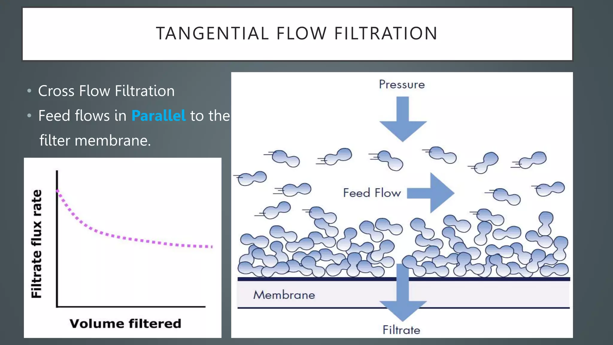 Tangential Flow Filtration - PPT.pptx