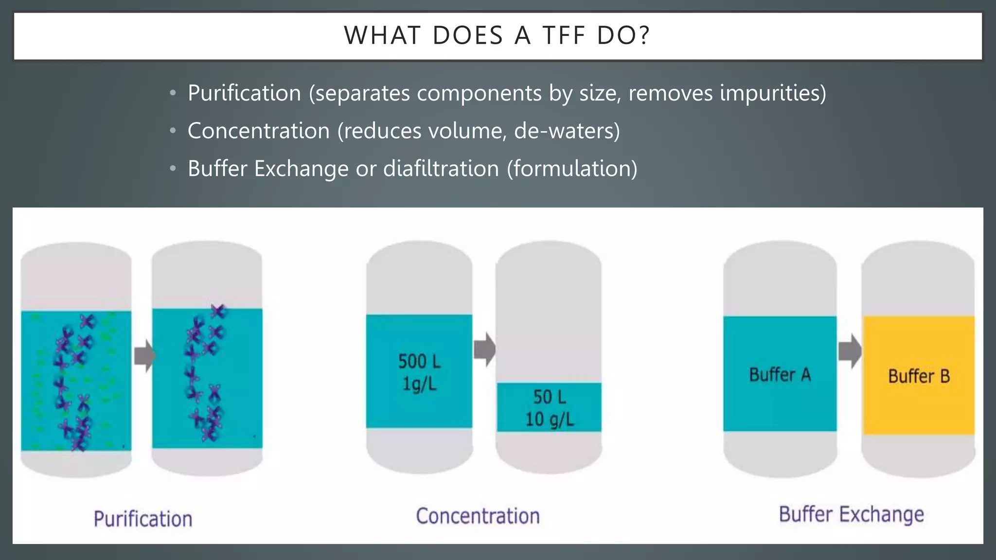 Tangential Flow Filtration - PPT.pptx