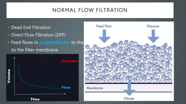 Tangential Flow Filtration - PPT.pptx | Biological Sciences | Science