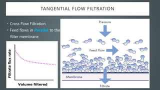 Tangential Flow Filtration - PPT.pptx