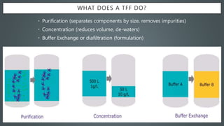 Tangential Flow Filtration - PPT.pptx
