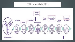 Tangential Flow Filtration - PPT.pptx