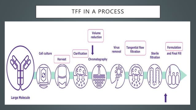 Tangential Flow Filtration - PPT.pptx | Biological Sciences | Science