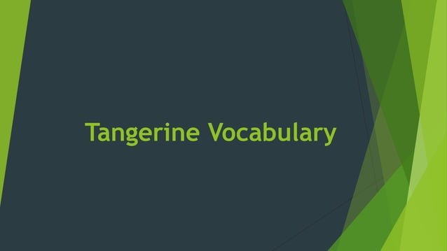 Tangerine by Edward Bloor- Vocabulary | PPT