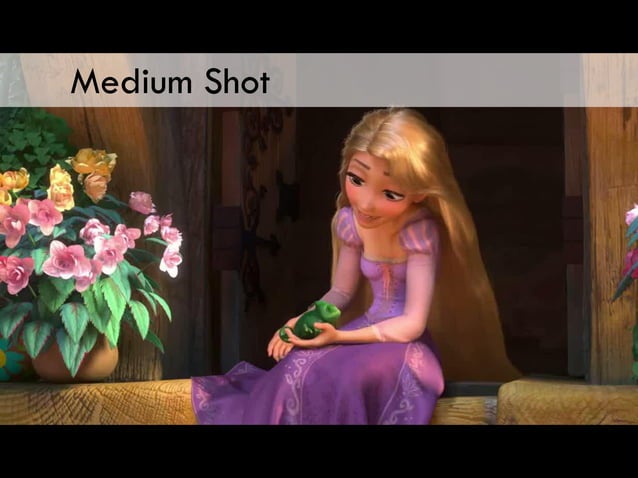 Tangled A Framing Images Excercise | PPT | Free Download