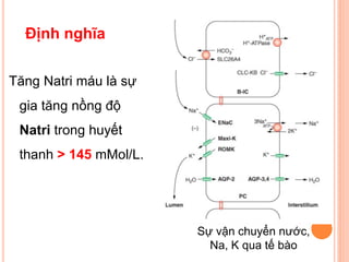 TĂNG NATRI MÁU | PDF