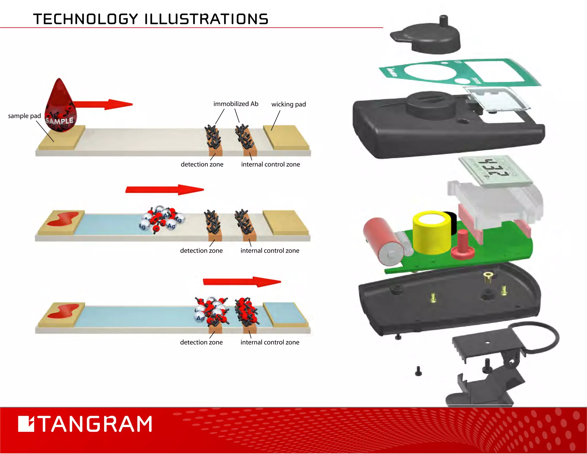 Tangram Design | PDF