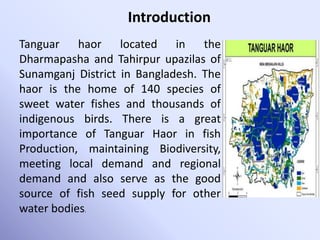 Economy of Tanguar Haor, Sunamgonj. | PPTX