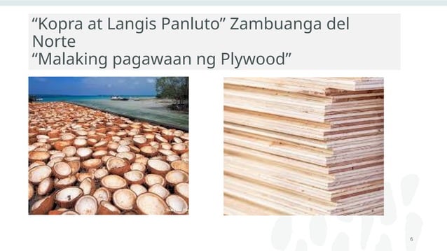Ang tangway ng Zamboanga o Rehiyon IX.pptx