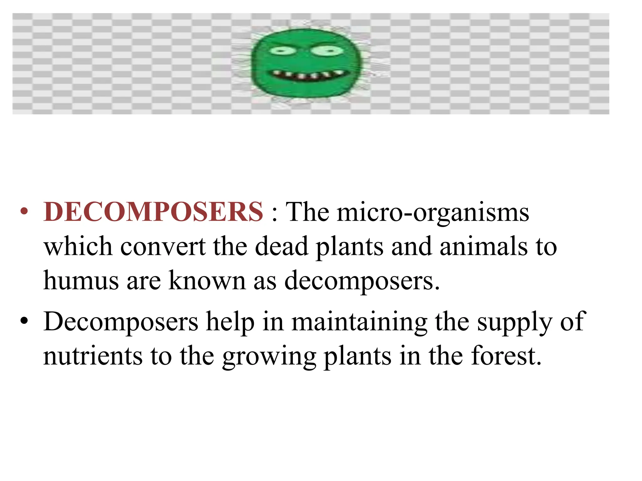 CLASS 7 PPT SCIENCE : FOREST OUR LIFE LINE CBSE | PPTX
