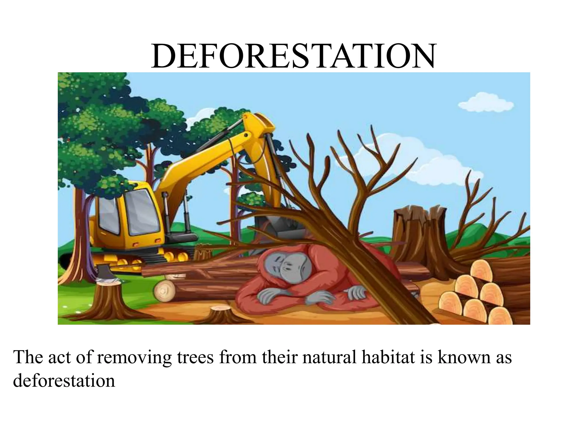 CLASS 7 PPT SCIENCE : FOREST OUR LIFE LINE CBSE | PPTX