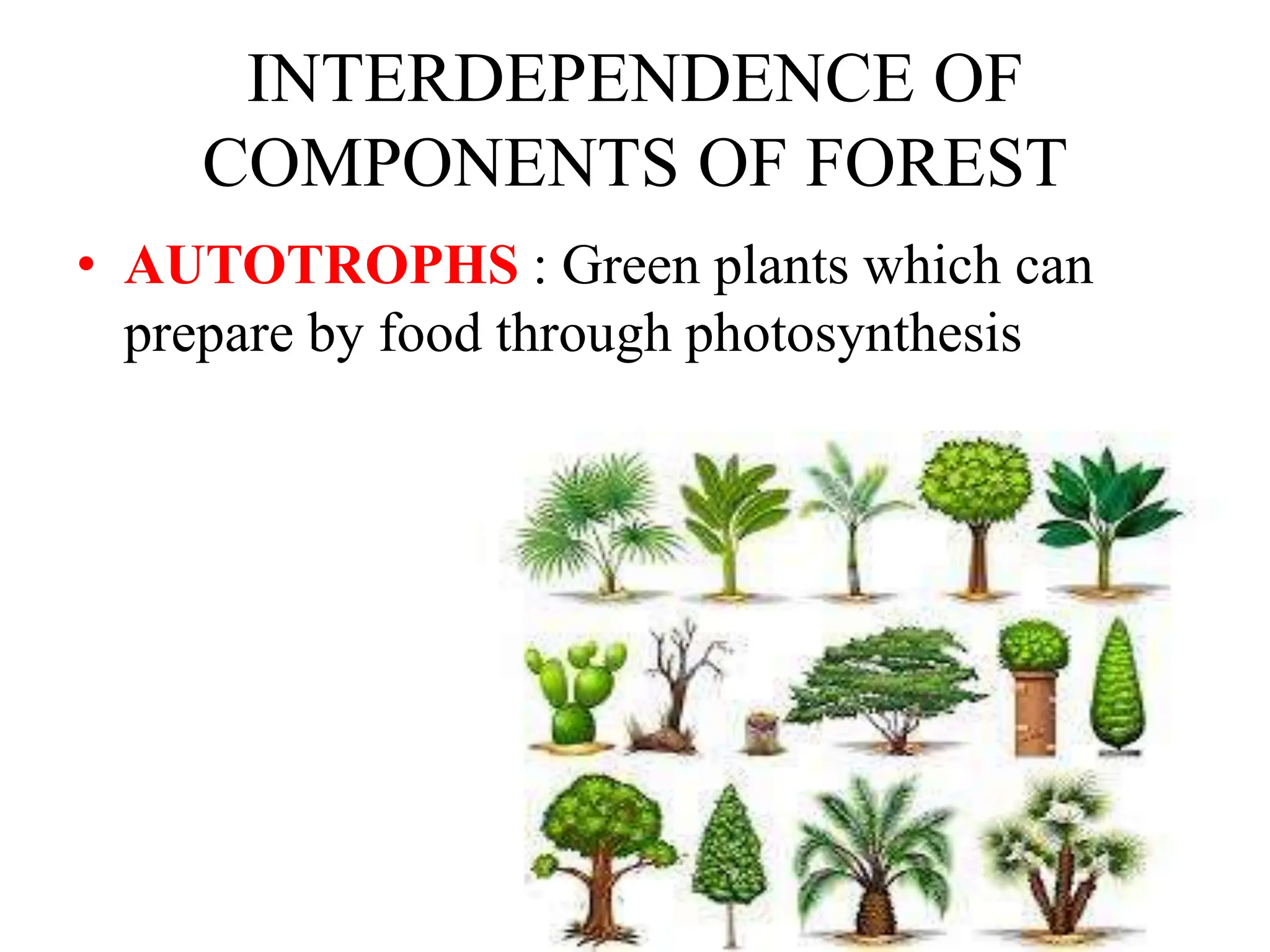 CLASS 7 PPT SCIENCE : FOREST OUR LIFE LINE CBSE | PPTX