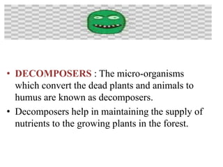 CLASS 7 PPT SCIENCE : FOREST OUR LIFE LINE CBSE | PPTX