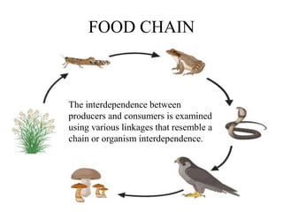 CLASS 7 PPT SCIENCE : FOREST OUR LIFE LINE CBSE | PPTX