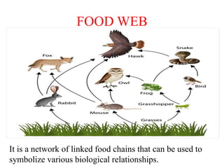 CLASS 7 PPT SCIENCE : FOREST OUR LIFE LINE CBSE | PPTX