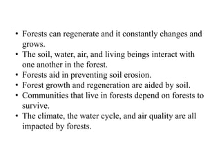 CLASS 7 PPT SCIENCE : FOREST OUR LIFE LINE CBSE | PPTX