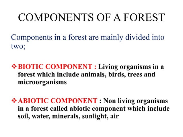 CLASS 7 PPT SCIENCE : FOREST OUR LIFE LINE CBSE | PPTX | Indoor ...