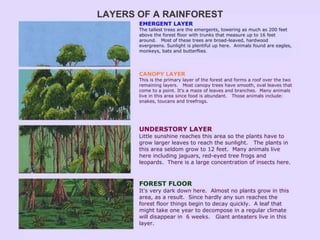 CLASS 7 PPT SCIENCE : FOREST OUR LIFE LINE CBSE | PPTX
