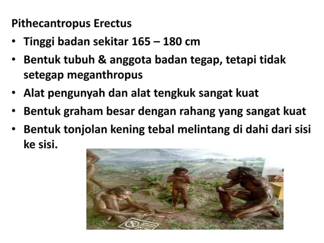 kehidupan awal masyarakat indonesia | PPT