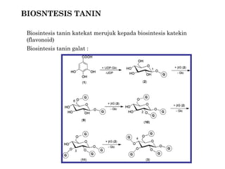 T a n i n | PPT