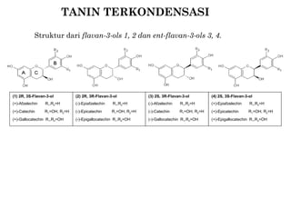 T a n i n | PPT